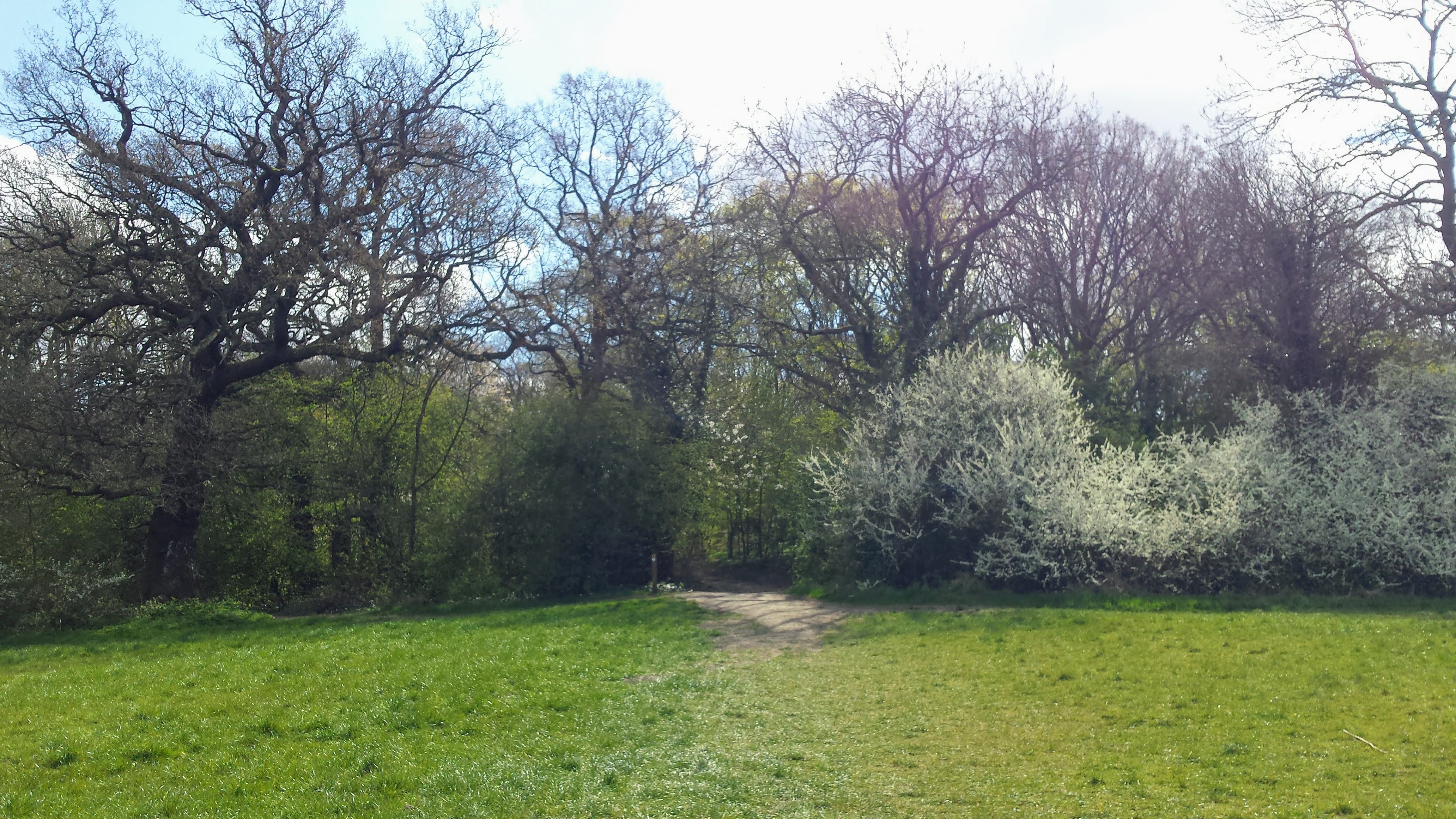 The Capital Ring: South Kenton to Hendon Park – Get Outside