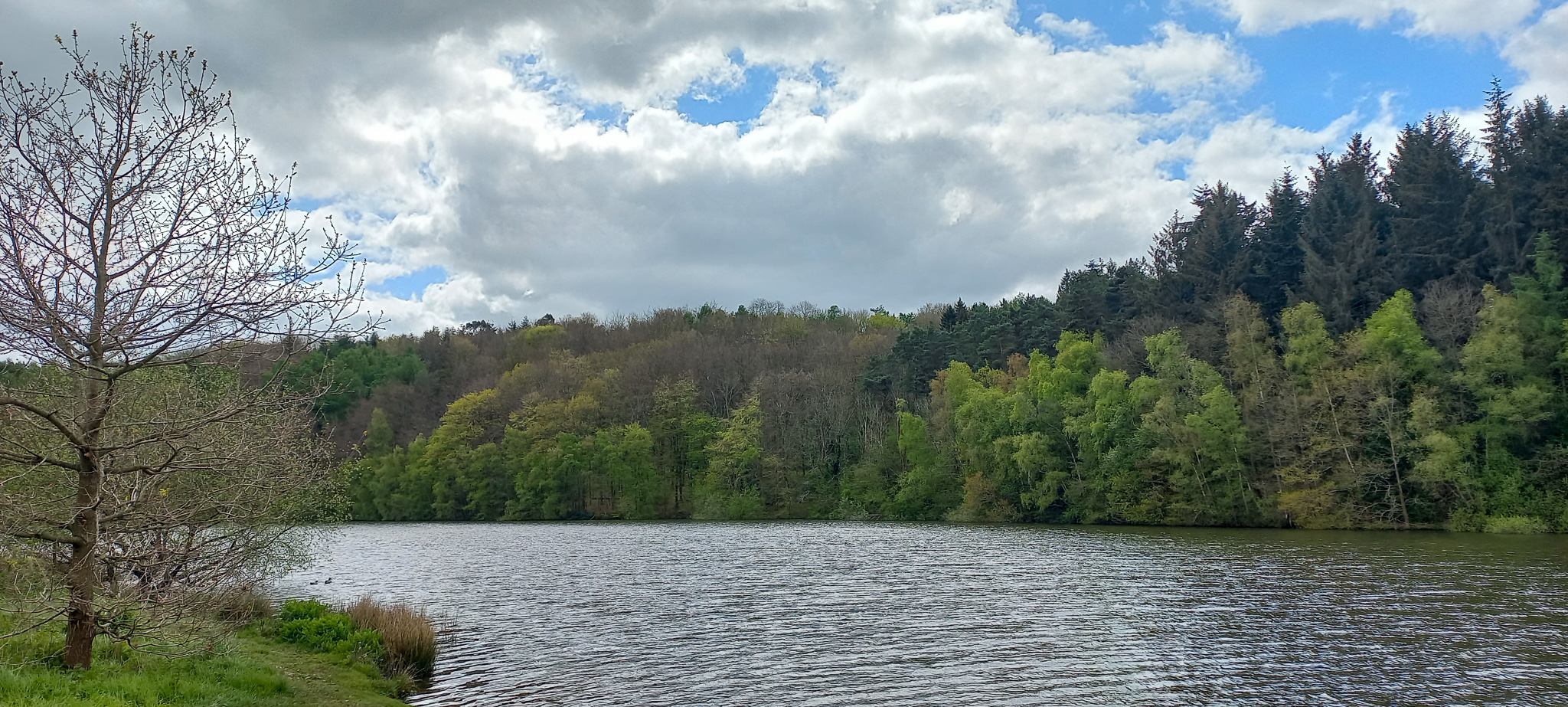 Balcombe, Ardingly Reservoir & Wakehurst Palce – Get Outside
